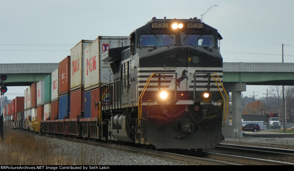 NS 9530 and 20N